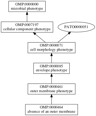 Category:OMP:0000464 ! absence of an outer membrane - OMPwiki